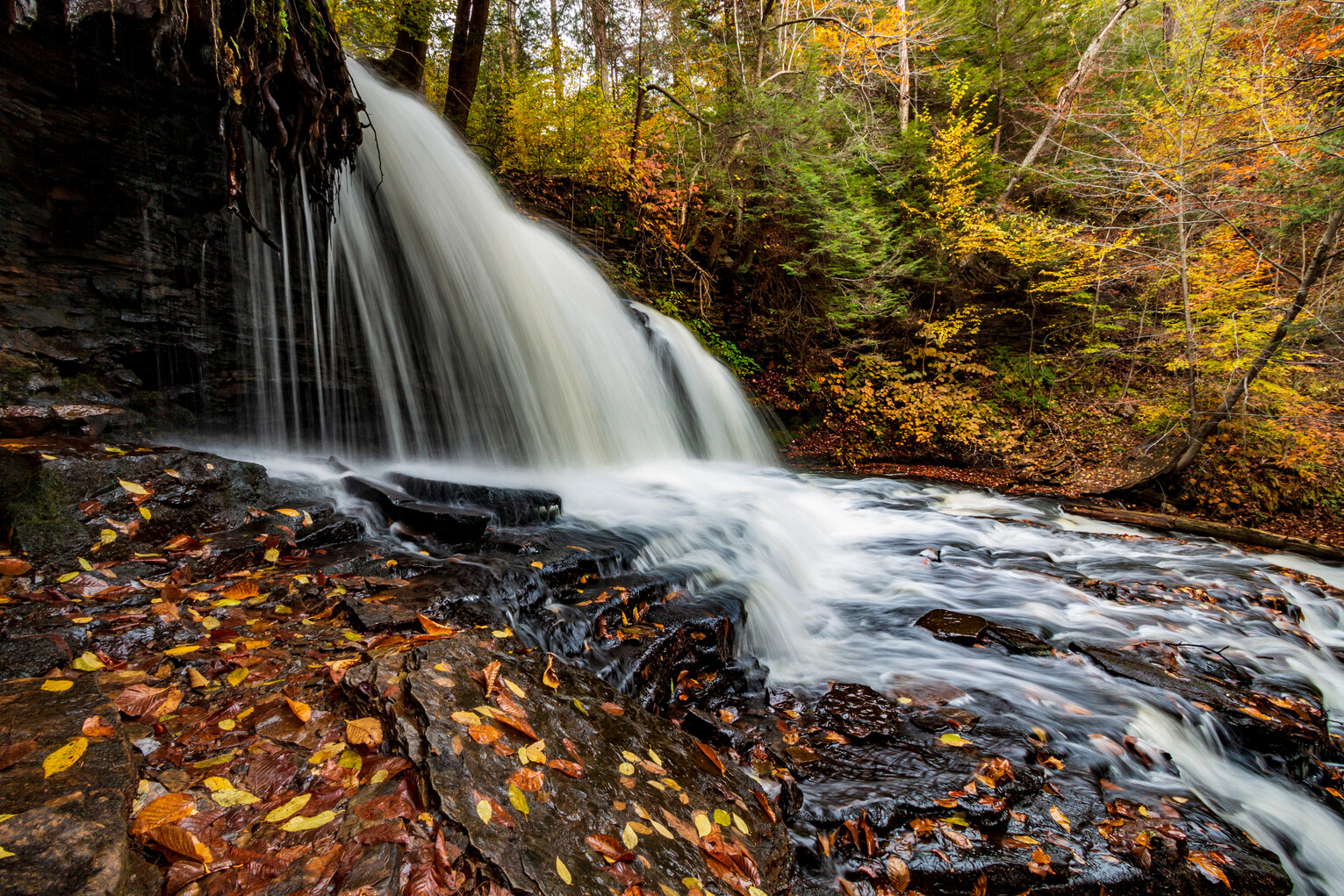 The Ultimate Guide to Fall Foliage in the Pocono Mountains